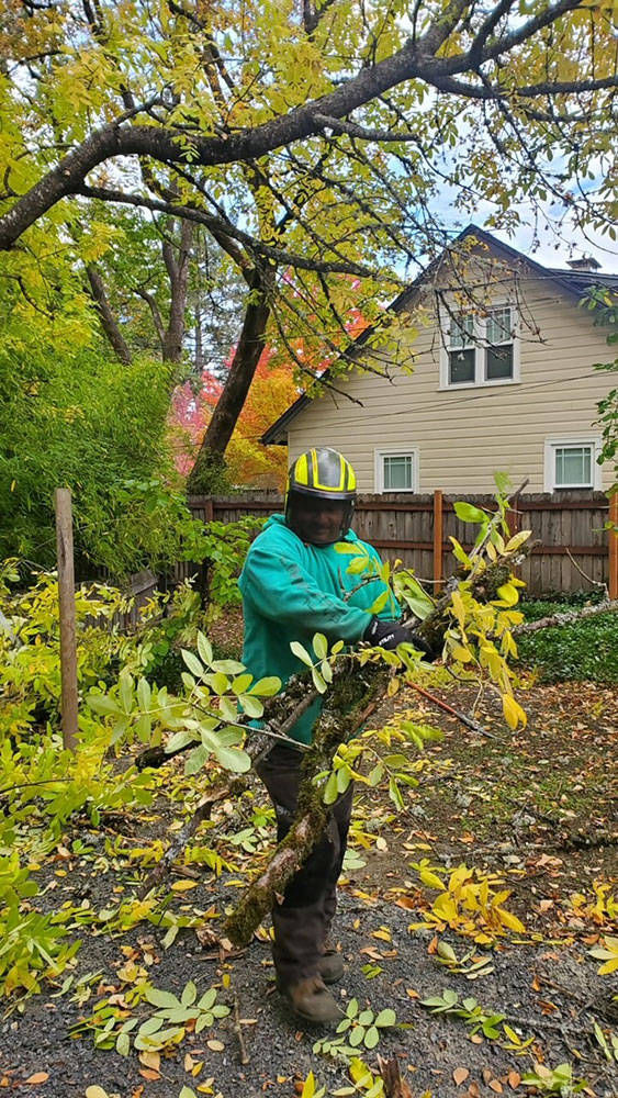 Tree Service Grants Pass Oregon | A-to-Z Tree Service Tree Service Grants Pass Oregon | A-to-Z Tree Service